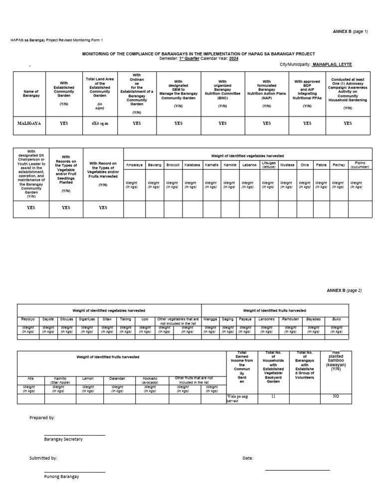 HAPAG Project Monitoring Report | PDF | Vegetables | Agronomy
