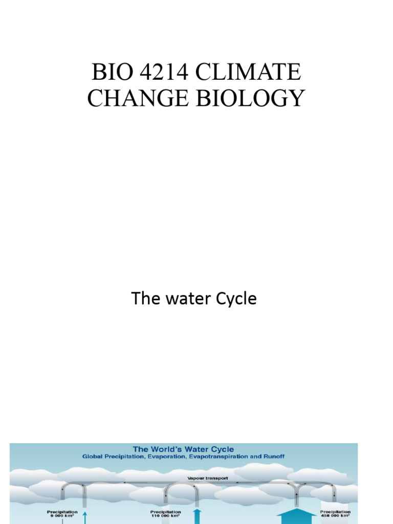 The Water Cycle | PDF | Water Cycle | Water