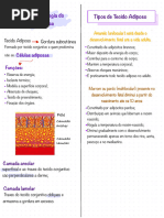 Panículo Adiposo: Estrutura e Funções | PDF | Tecido adiposo | Anatomia