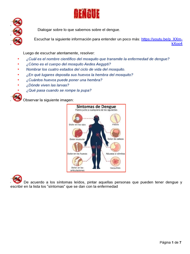 Dengue 1 | PDF | Mosquito | Aedes aegypti