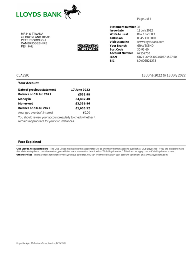 Preview 4 | PDF | Overdraft | Cash