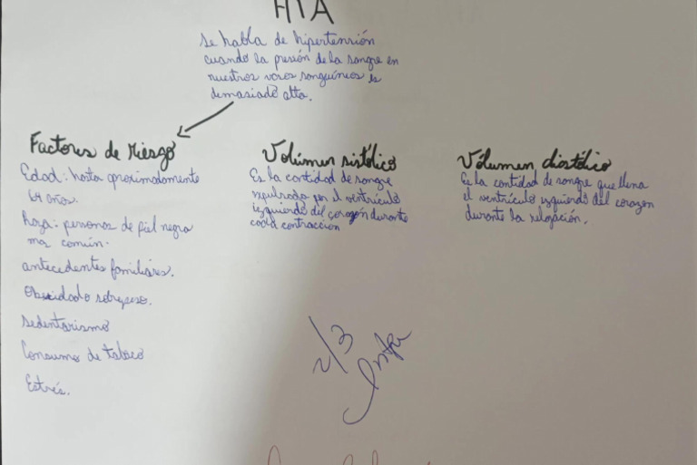 Pract. Terapéutica Hta Mapa | PDF