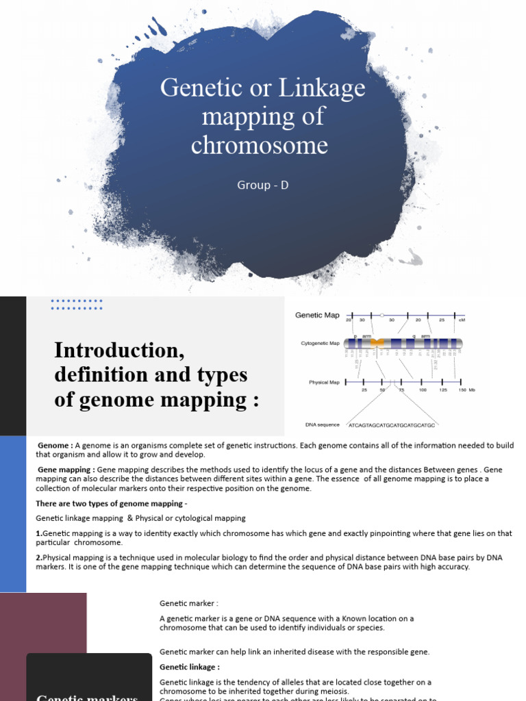 Genetic Linkage Mapping Explained | PDF | Genetic Linkage | Genetics