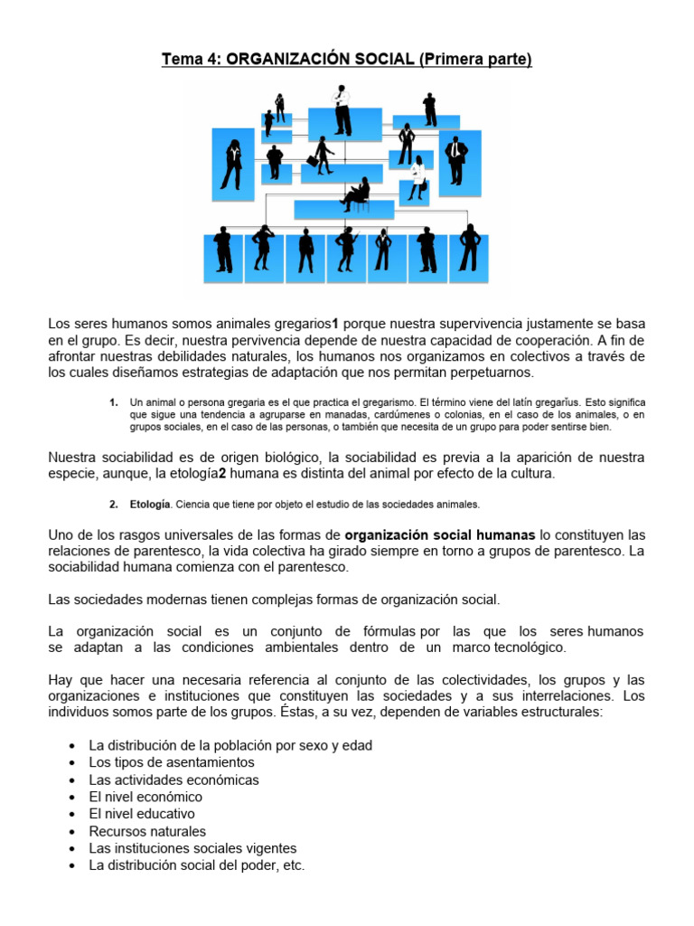 Tema 3 ORGANIZACIÓN SOCIAL | PDF | Sociedad | Institución
