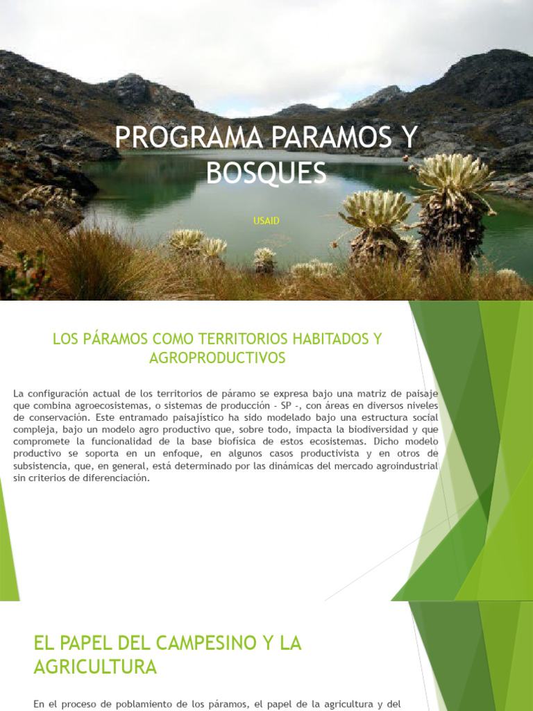 Estrategias Y Recomendaciones Para Transicion Agricola Pdf Suelo