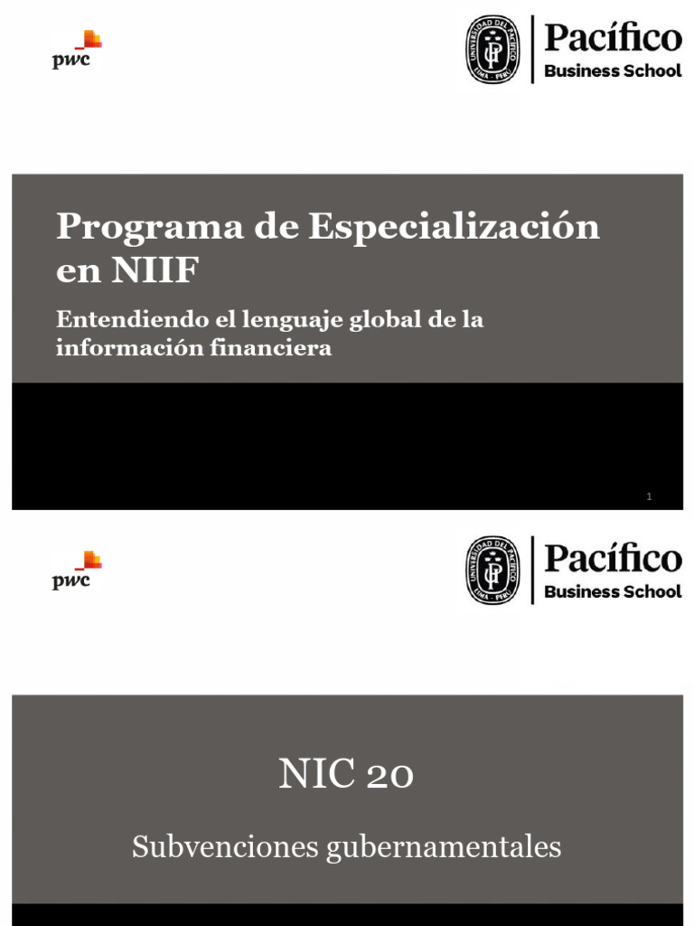 Nic 20 - Programa Niif 2023 | PDF | Préstamos | Otorgar dinero)