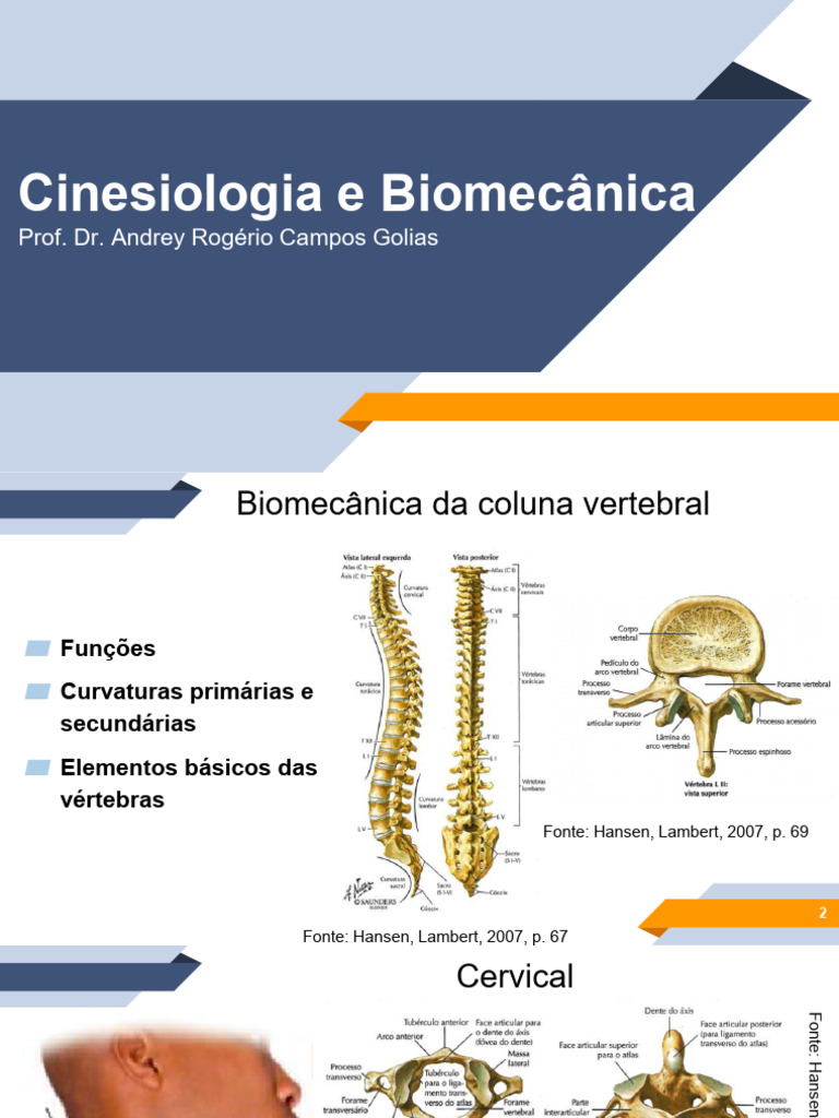 SLIDE Biomecânica Da Coluna Vertebral | PDF