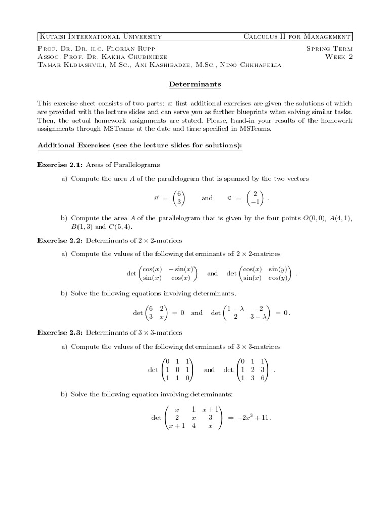 Calculus II: Determinants Exercises | PDF | Determinant | Mathematical Physics