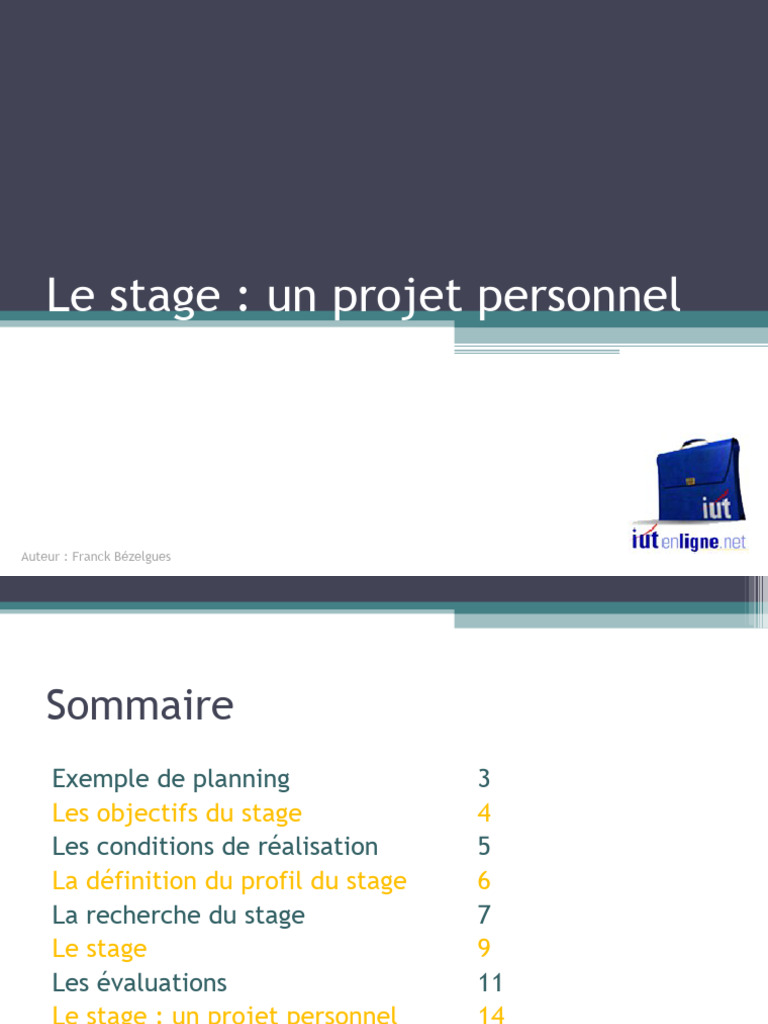 Guide complet pour réussir son stage | PDF