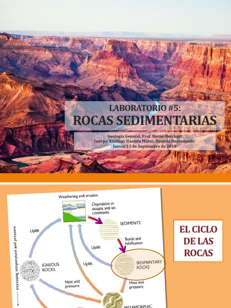 Lab 5, Rocas Sedimentarias | PDF | Roca clástica | Roca sedimentaria