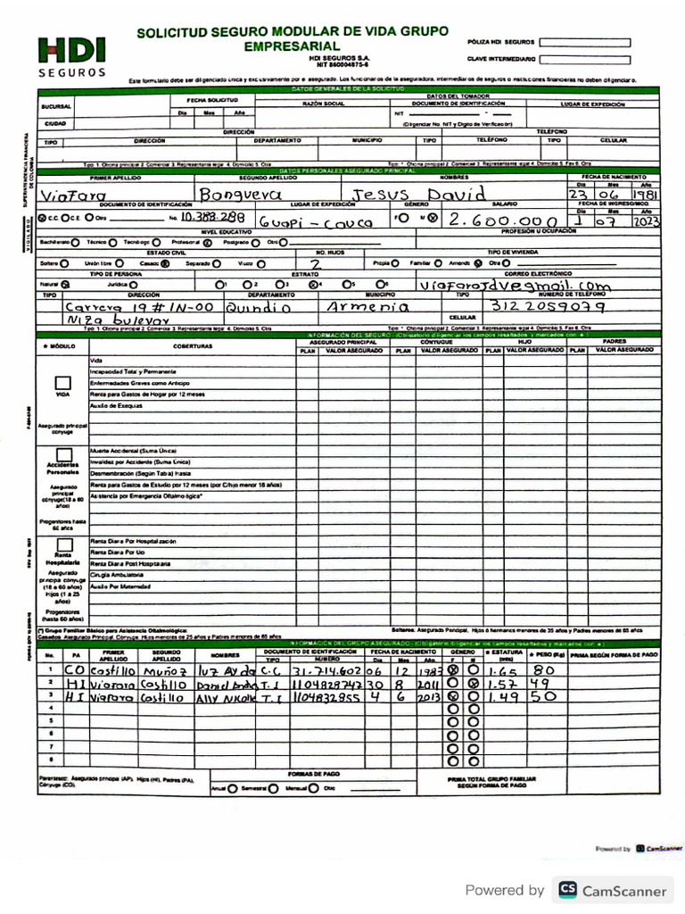 Formulario Jesus David Biafara Vanguera | PDF