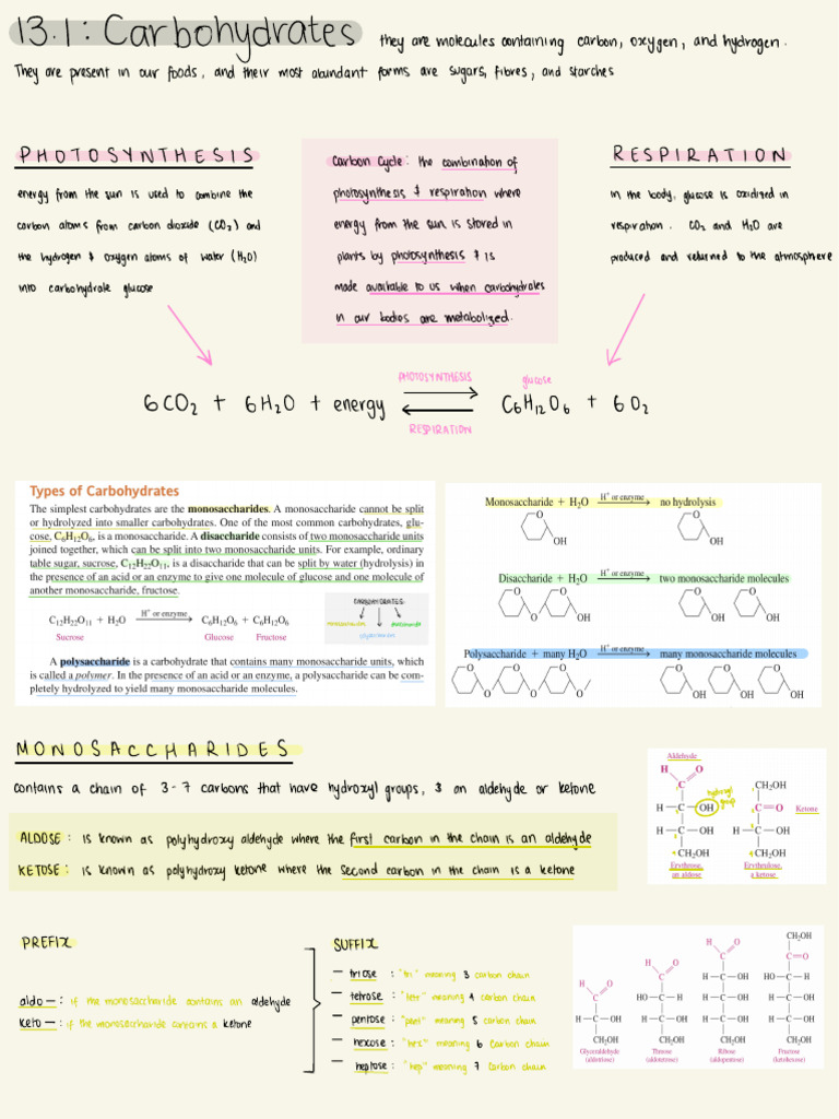 CH 13 - Carbohydrates | PDF | Carbohydrates | Glucose