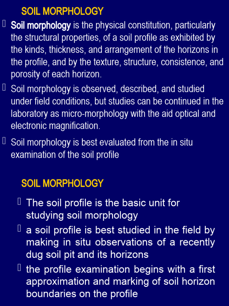 GEO300-SOIL Morphology | PDF | Soil | Color