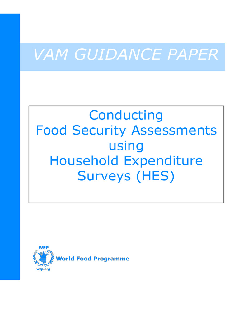 Food Security Assessment Guide Using HES | PDF | Food Security | Calorie