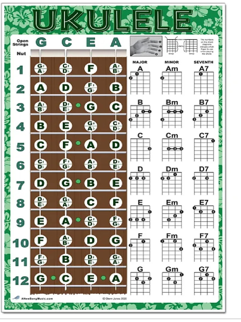 Beginner Ukulele Chords & Notes Poster GREEN For Soprano Concert Tenor ...