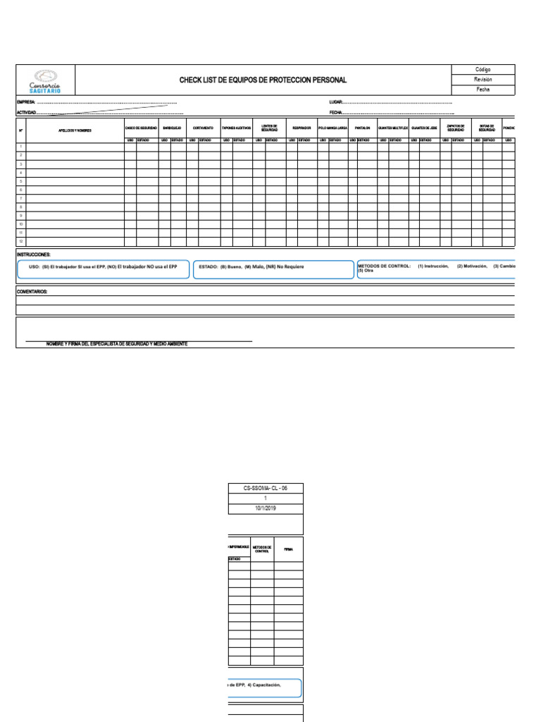 Formato Inspeccion de EPP | PDF