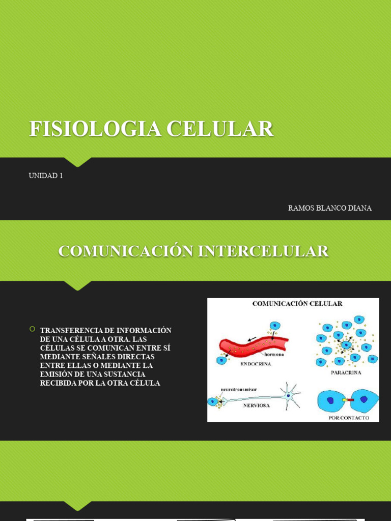 FISIOLOGIA CELULAR 2 Comunicacion Intracelular | PDF