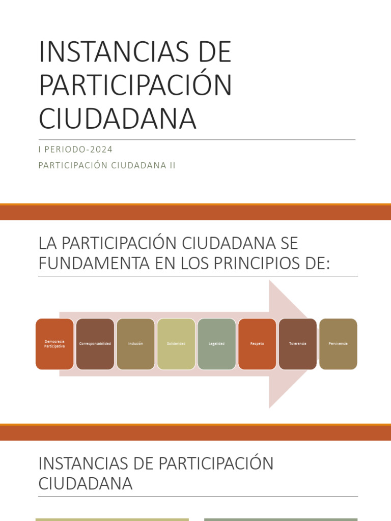 Instancias de Participación Ciudadana 2024 | PDF | Participación ...