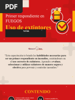 13 Directrices de Cero Tolerencia | PDF | México