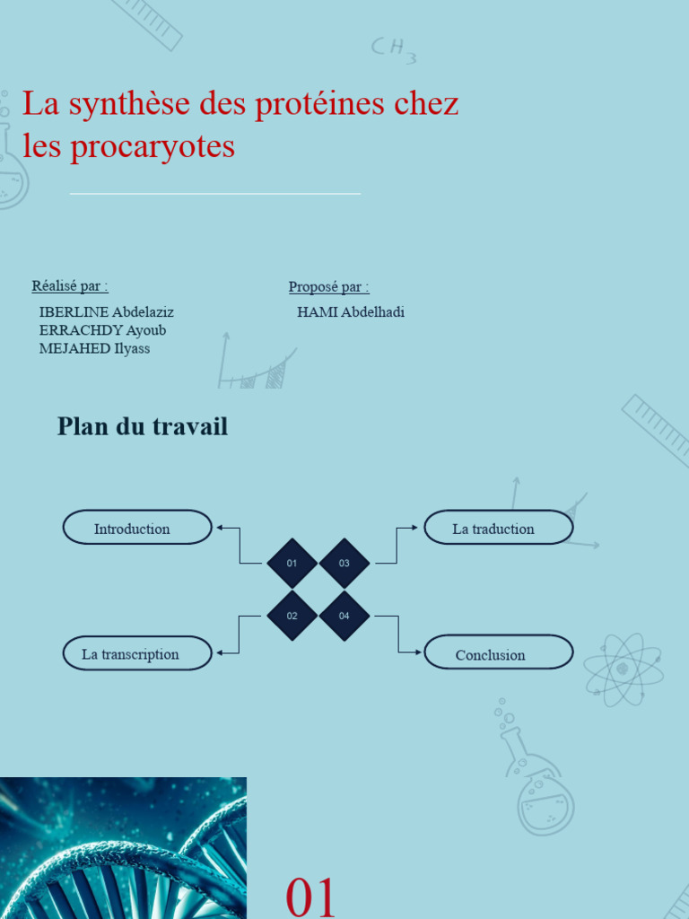 La Synthese Des Proteines-1 | PDF | Traduction génétique | Répertoire ...
