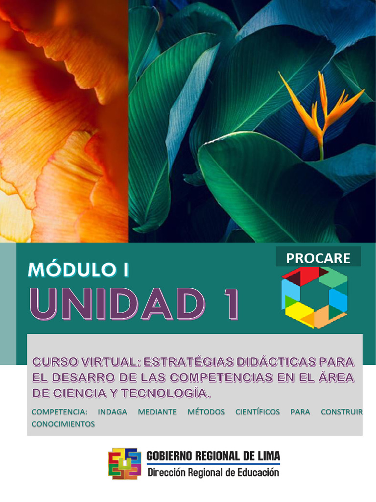 Modulo 1 - Unidad 1 - Analiza | PDF | Science | Aprendizaje