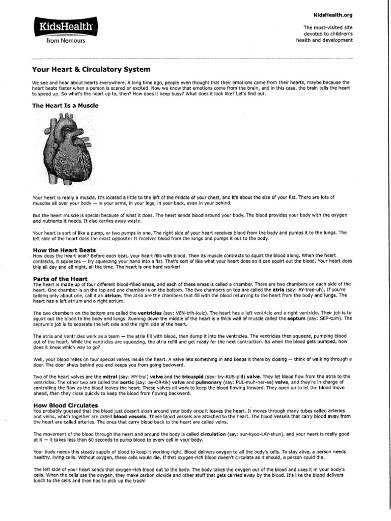 Heart and Circulatory System | PDF