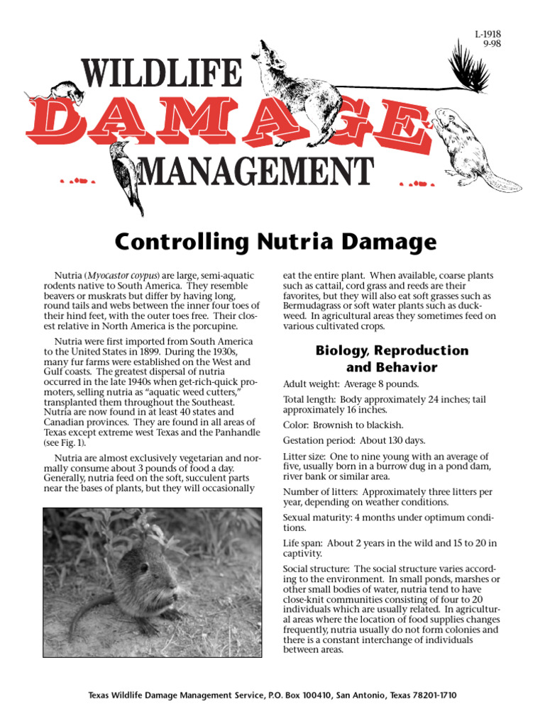 Controlling Nutria Damage | PDF | Trapping