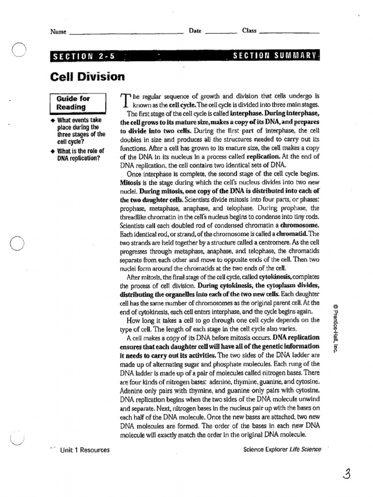 Cell Division Summary | PDF