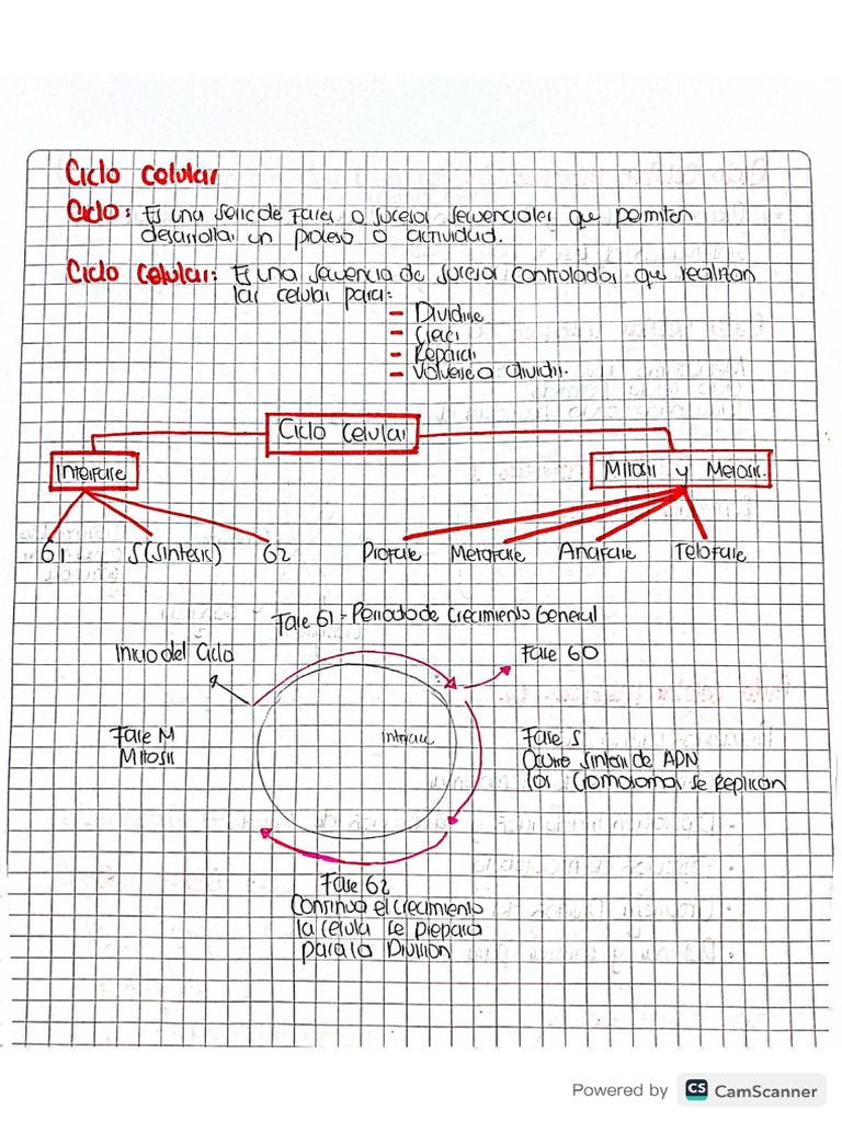 Resumen Segundo Corte | PDF