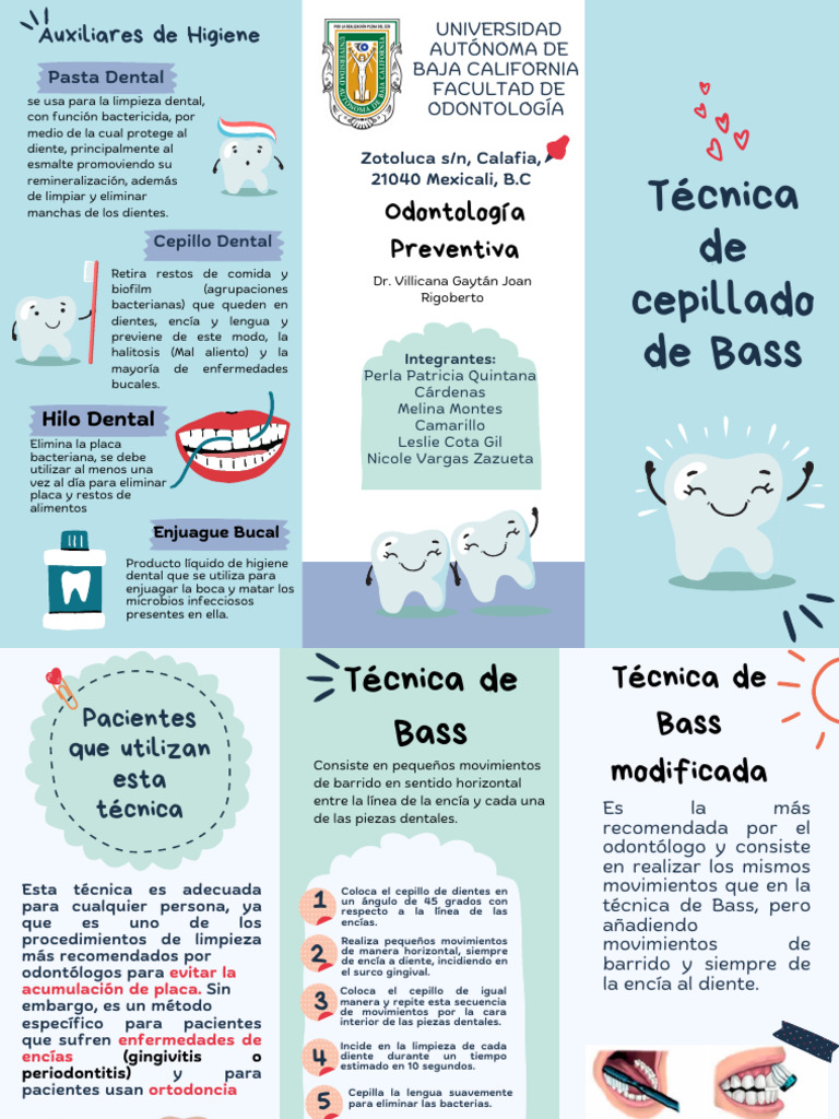 Triptico Tecnica de Bass | PDF | Odontología | Anatomia dental