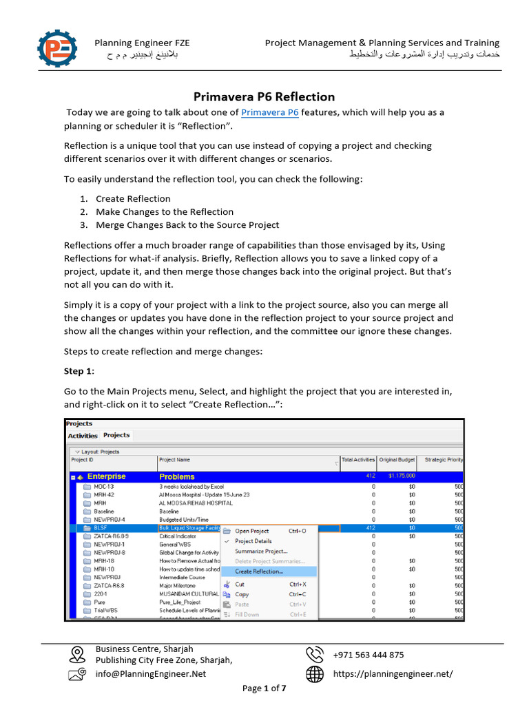 Primavera P6 Reflection PDF | PDF | Cyberspace | World Wide Web