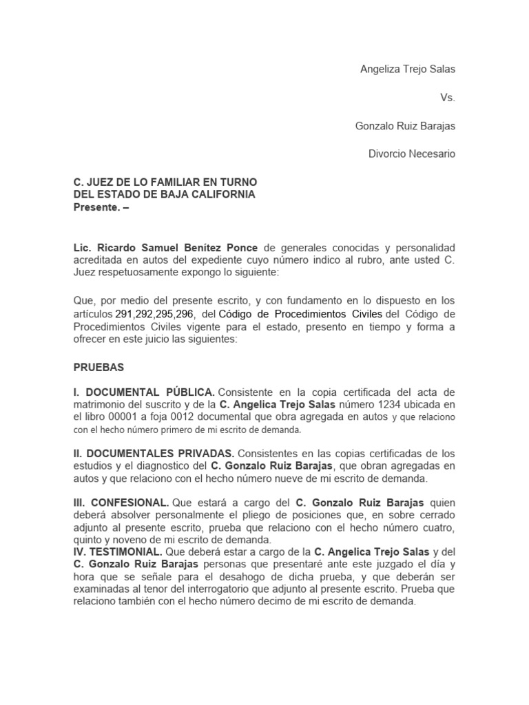 Pruebas en Divorcio de Angeliza y Gonzalo | PDF | Justicia | Crimen y ...