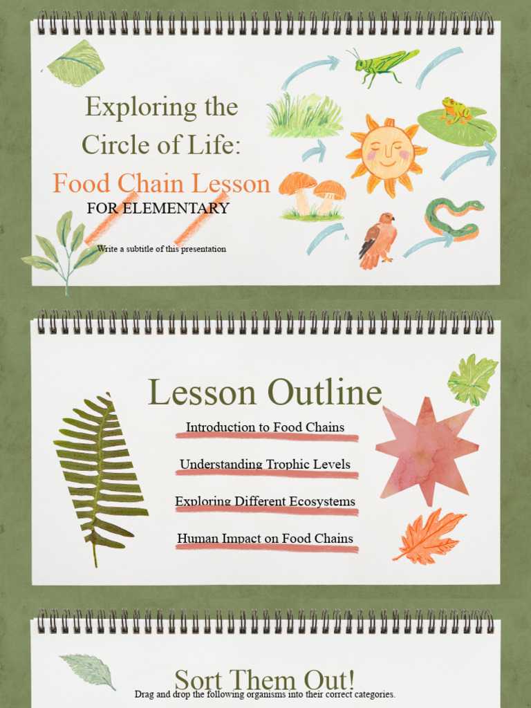 Illustrative Notebook Exploring The Circle of Life - Food Chain Lesson ...