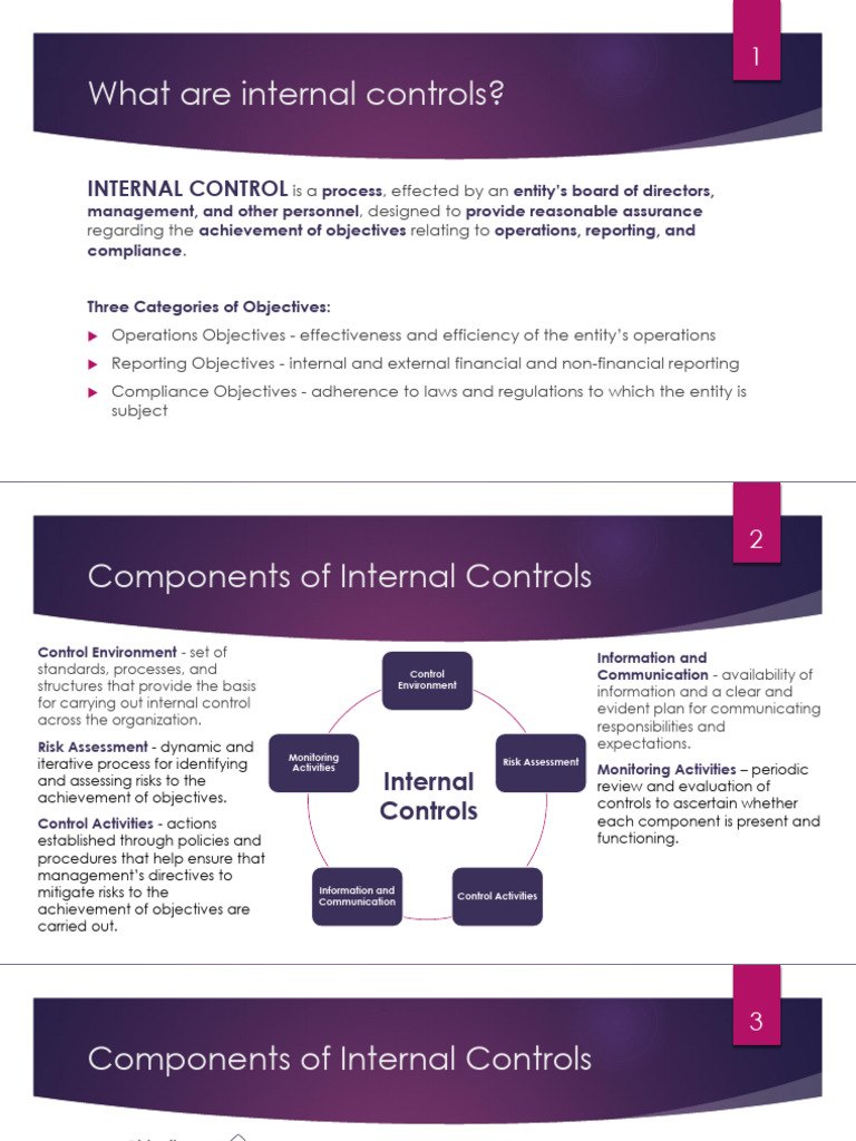 Internal Controls | PDF | Internal Control | Business