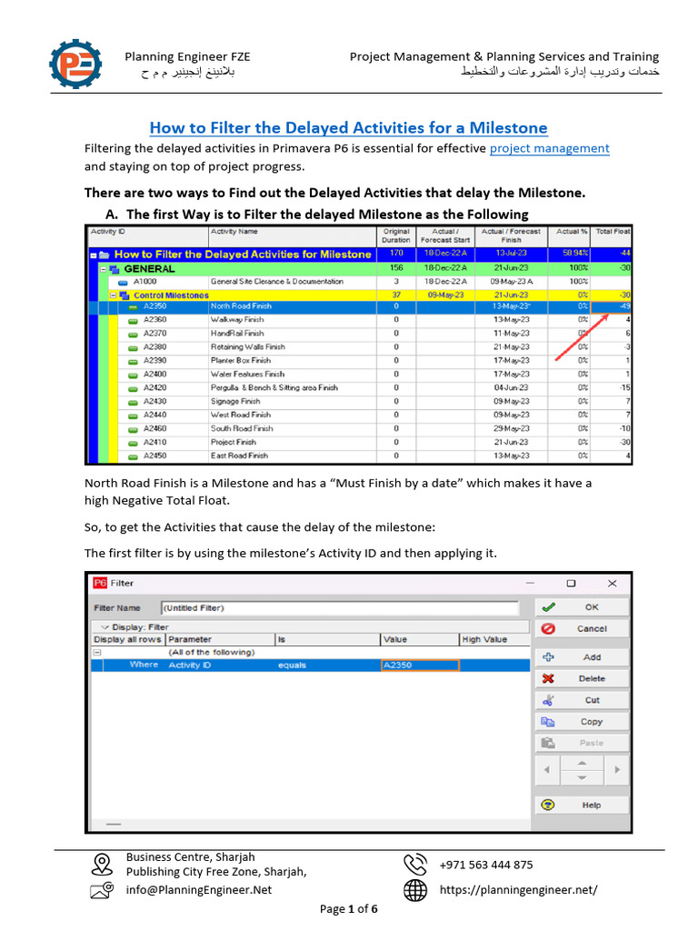How To Filter The Delayed Activities For A Milestone | PDF | Project ...