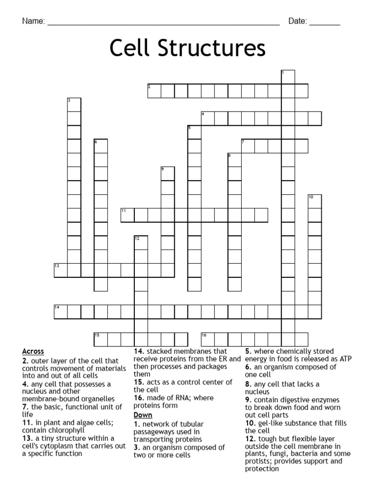 Cell - Structures Crosswords | PDF