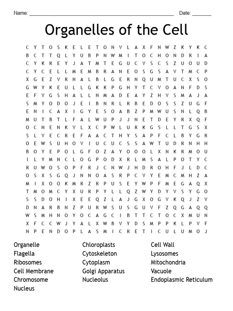 Organelles - of - The - Cell Letters Soup | PDF