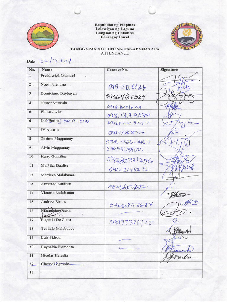 Lupon Attendance February | PDF