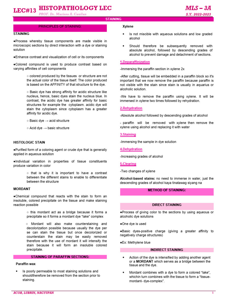 Lec#13 - Staining | PDF | Staining | Dye