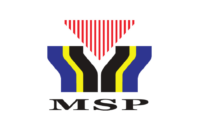 Logo MSP | PDF
