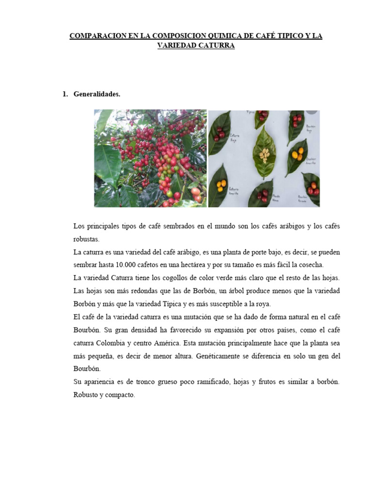 Composición Química del Café Caturra | PDF | café | Bebida