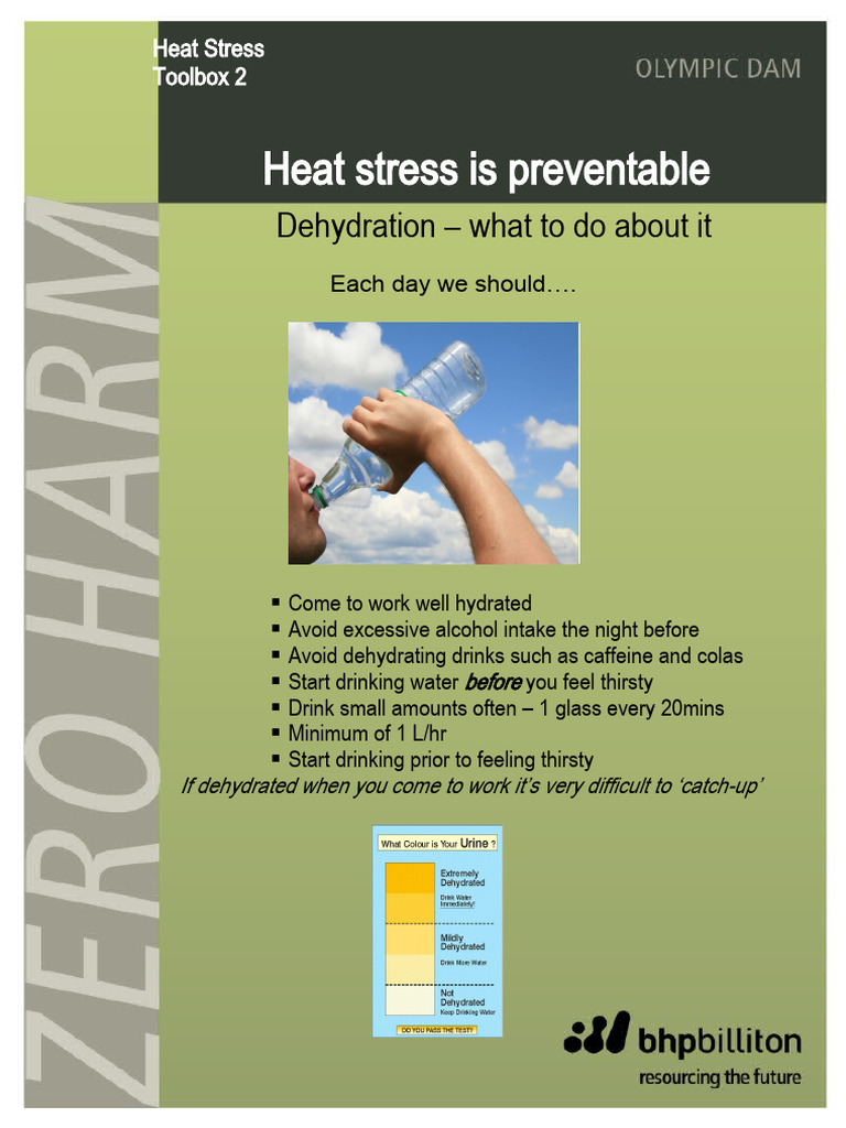2010 Heat Stress Tool Box Talk2 | PDF