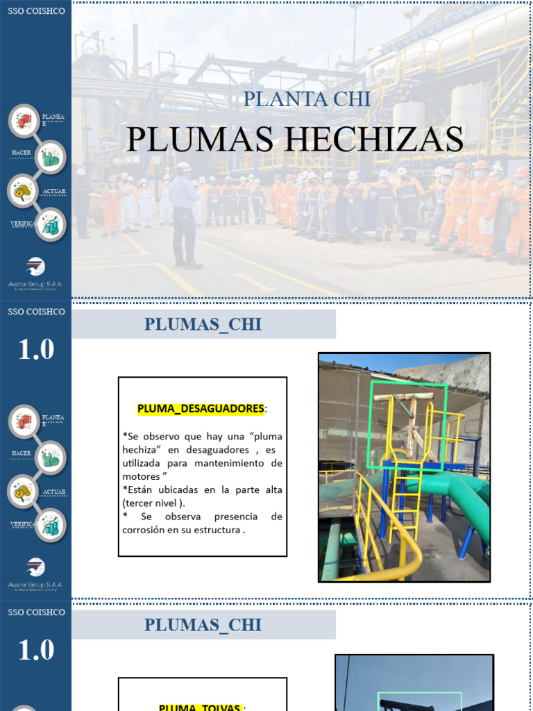 Plumas - Plantas | PDF