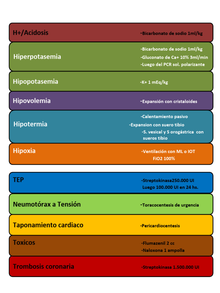 Anexo Soporte Vital 5h5t | PDF