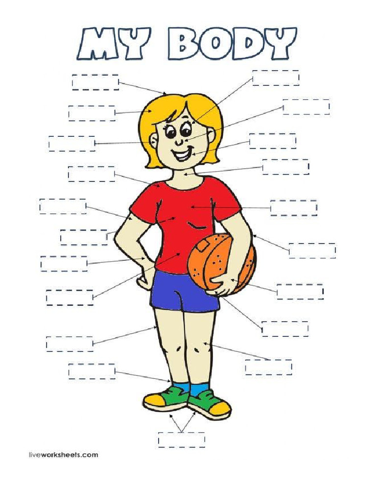 Parts of The Body | PDF