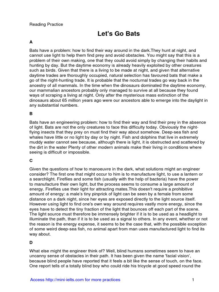 Lets Go Bats | PDF | Sonar | Bat