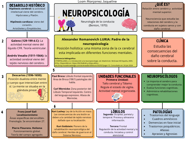 Mapa Mental - Neuropsicologia - Loam | PDF | Neuropsicología | Cerebro