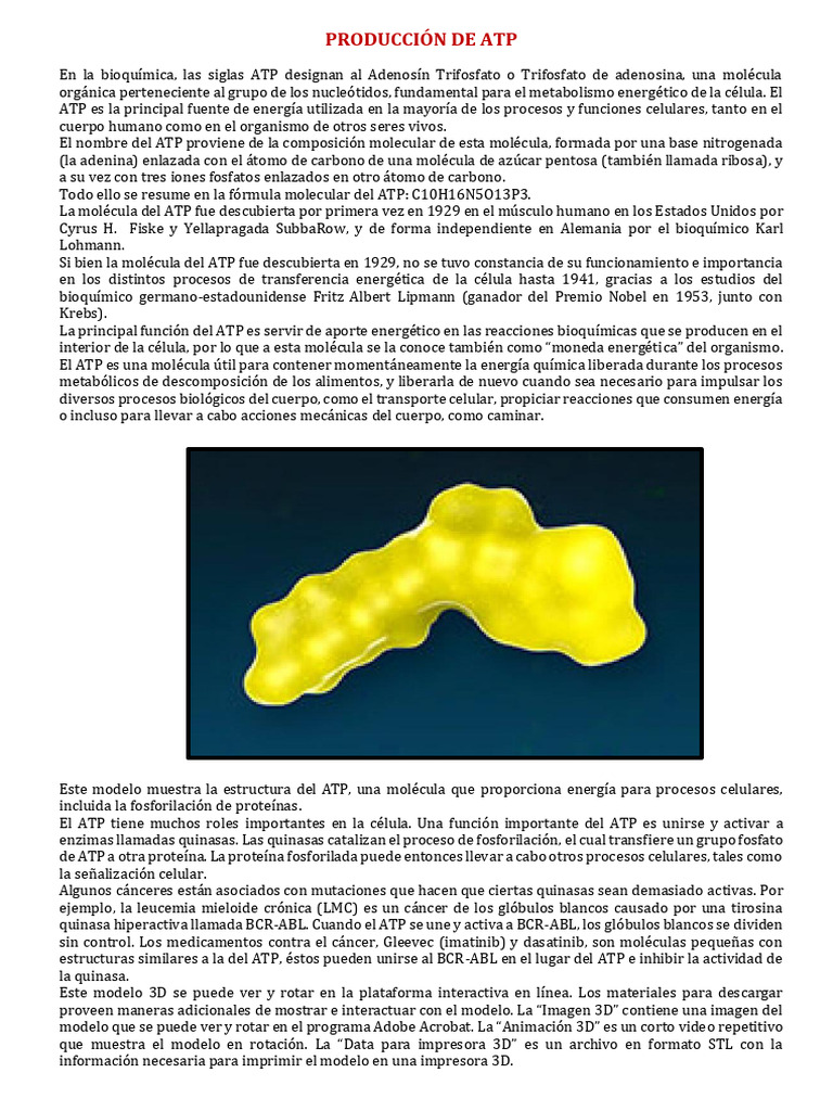 Producción de Atp | PDF | Trifosfato de adenosina | Quinasa