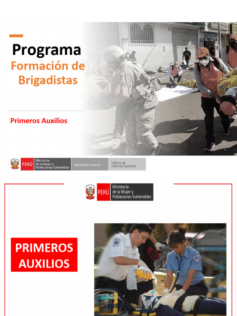 Curso Primeros Auxilios Mimp Brigadas | Descargar gratis PDF | Reanimación cardiopulmonar | Herida