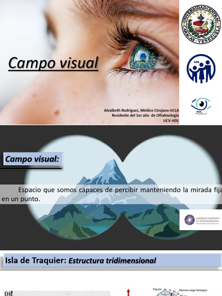 campo visual | PDF | Glaucoma | Percepción visual